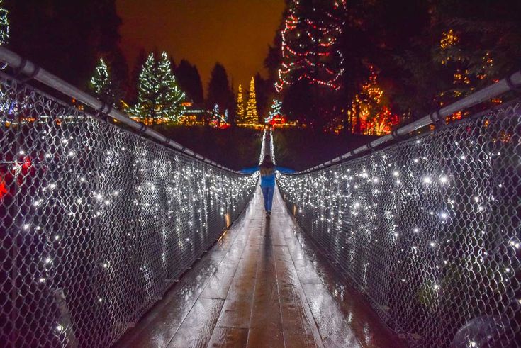 5 Fun Things To Do in Vancouver at Night - YonneTours
